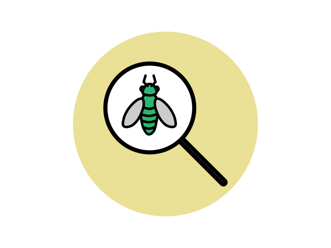 Ento_insectid_wide-01 – UW Entomology