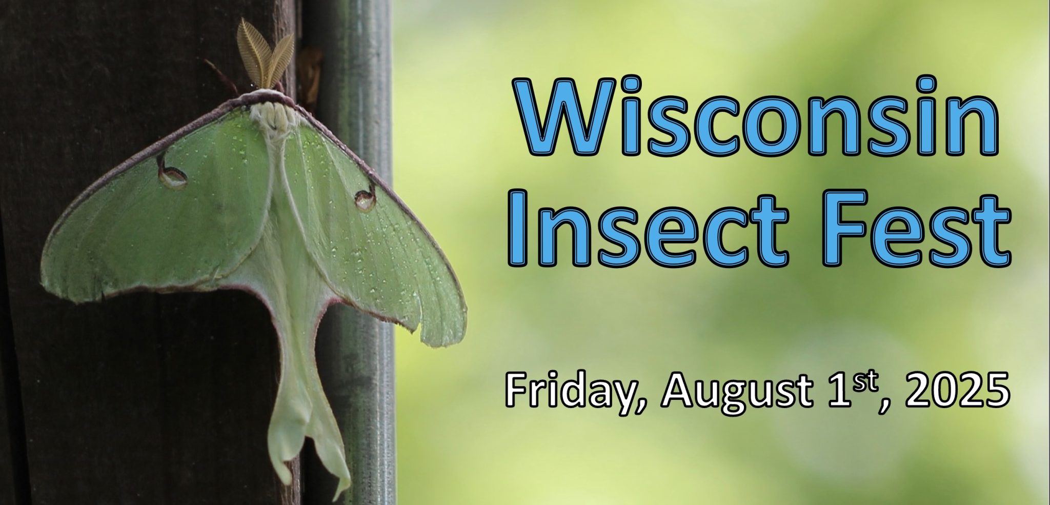 Wisconsin Insect Fest – UW Entomology