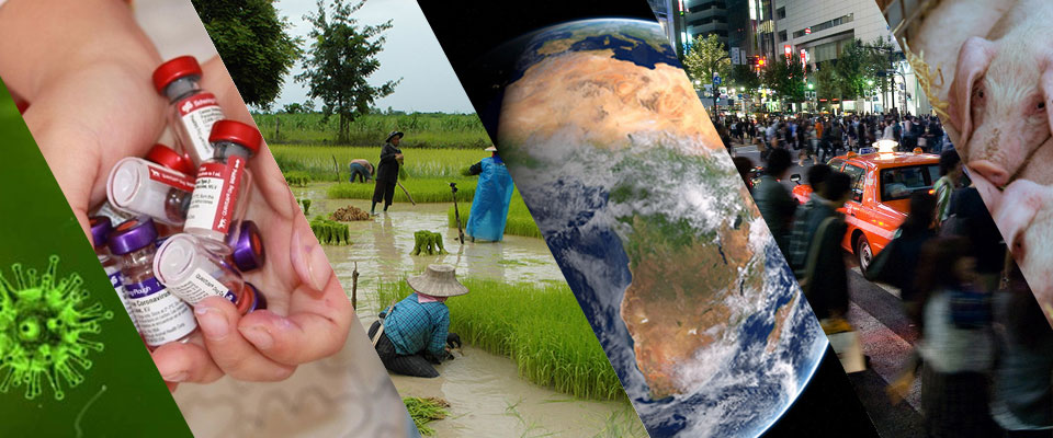 Global Health B.S. – UW Entomology