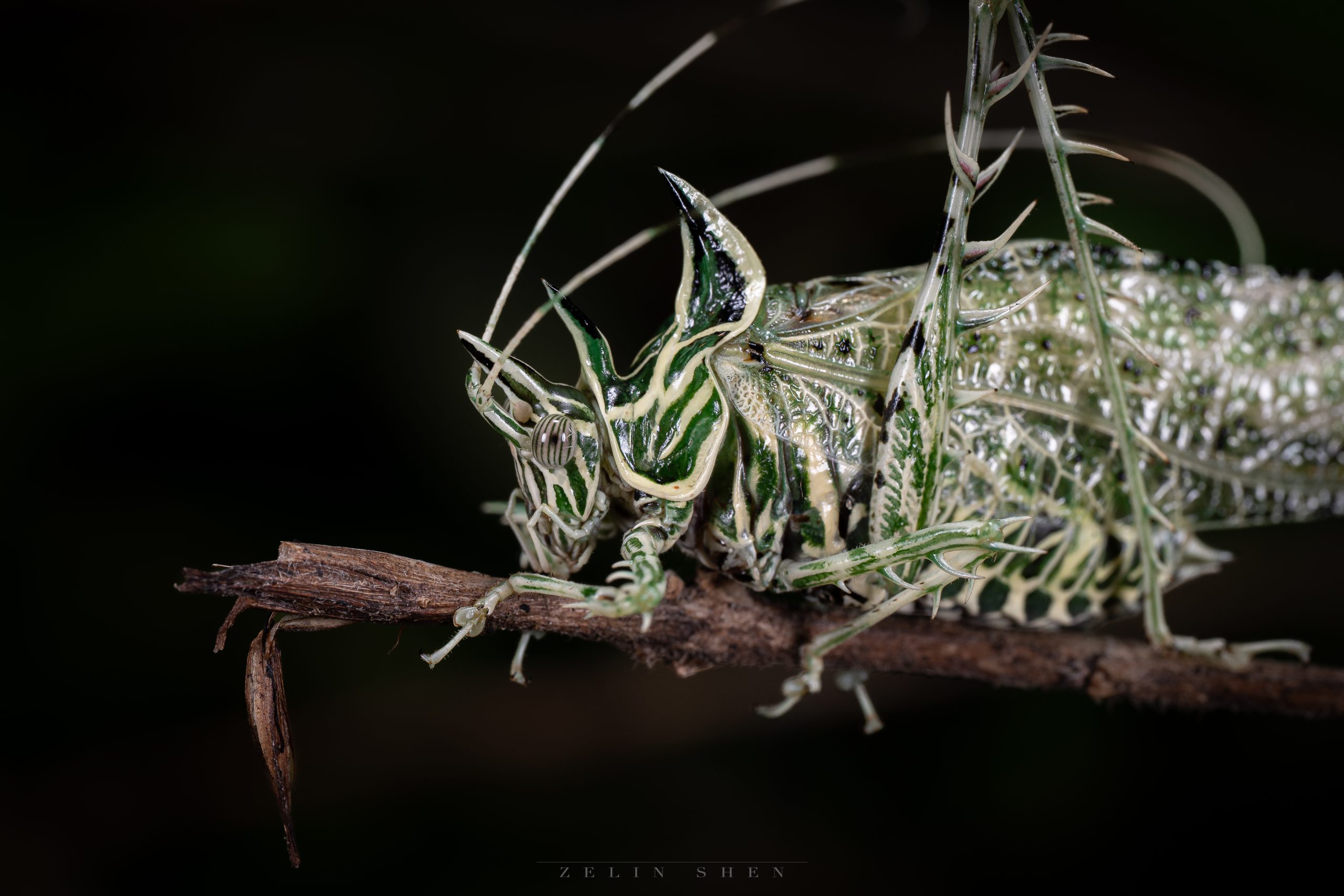 Entomology Digest – Fall 2025 – UW Entomology