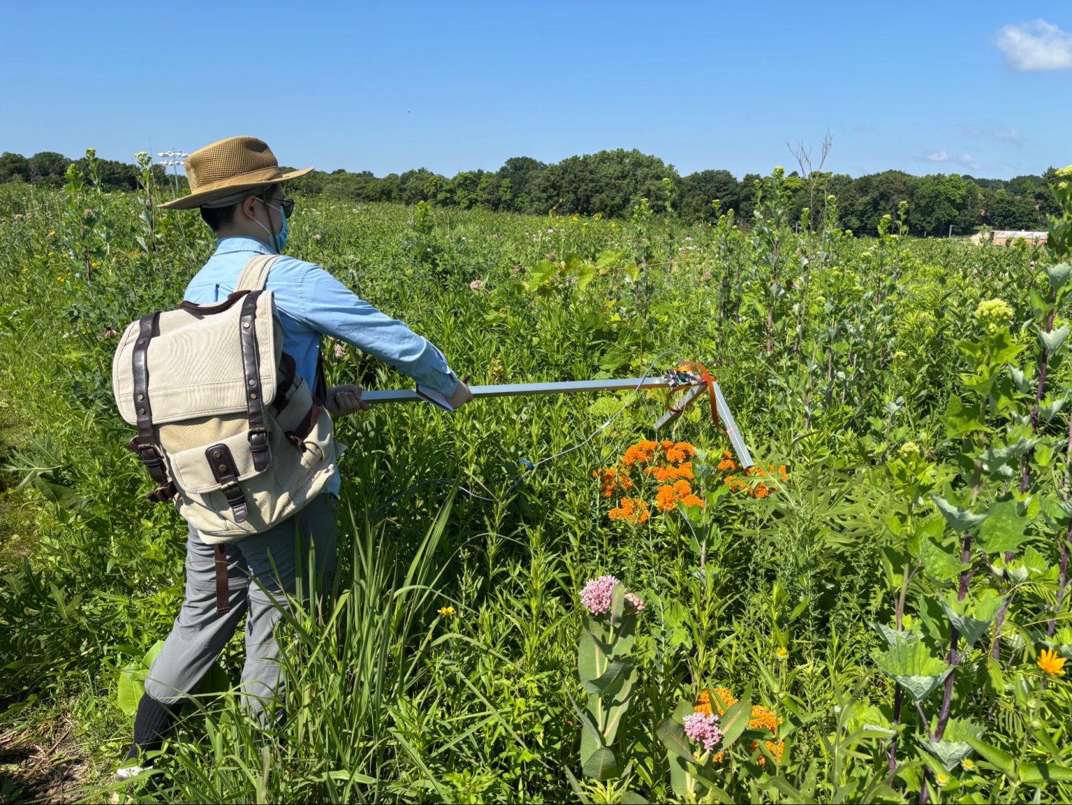 Research Overview – UW Entomology